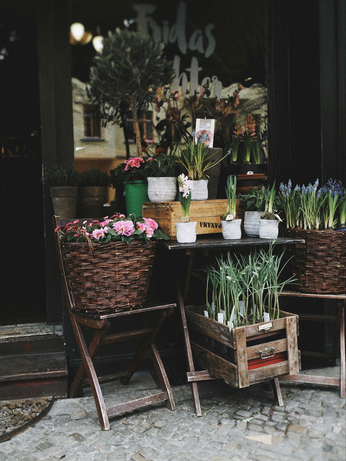 Best Flower Delivery Services in Germany: Blooms for Every Occasion